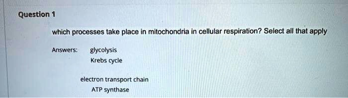 Question which processes take place in mitochondria in cellular ...