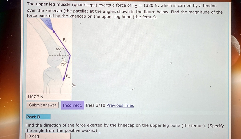 the upper leg muscle quadriceps exerts a force of fq 1380 n which is ...
