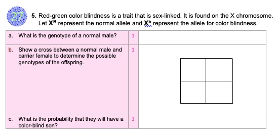 Normal Male Genotype