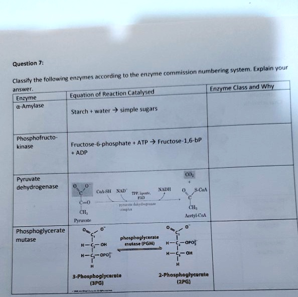 Question 7: Classify the following enzymes according to the enzyme ...