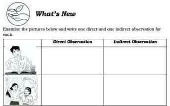 'Examine the pictures and write one direct and one indirect observation ...