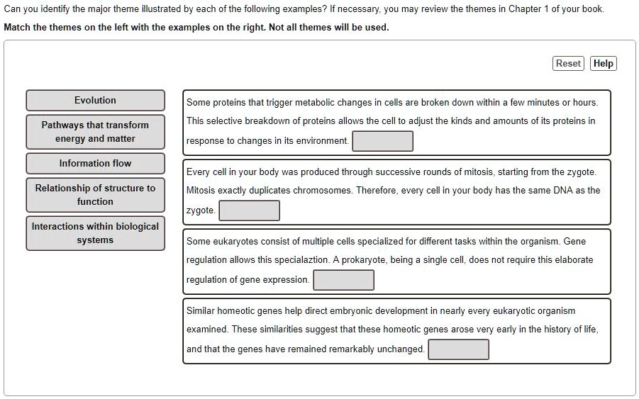 can you identify the major theme illustrated by each of the following ...