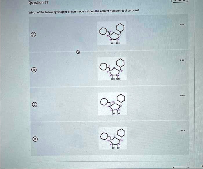 SOLVED: Which of the following student-drawn models shows the correct numbering of carbons?