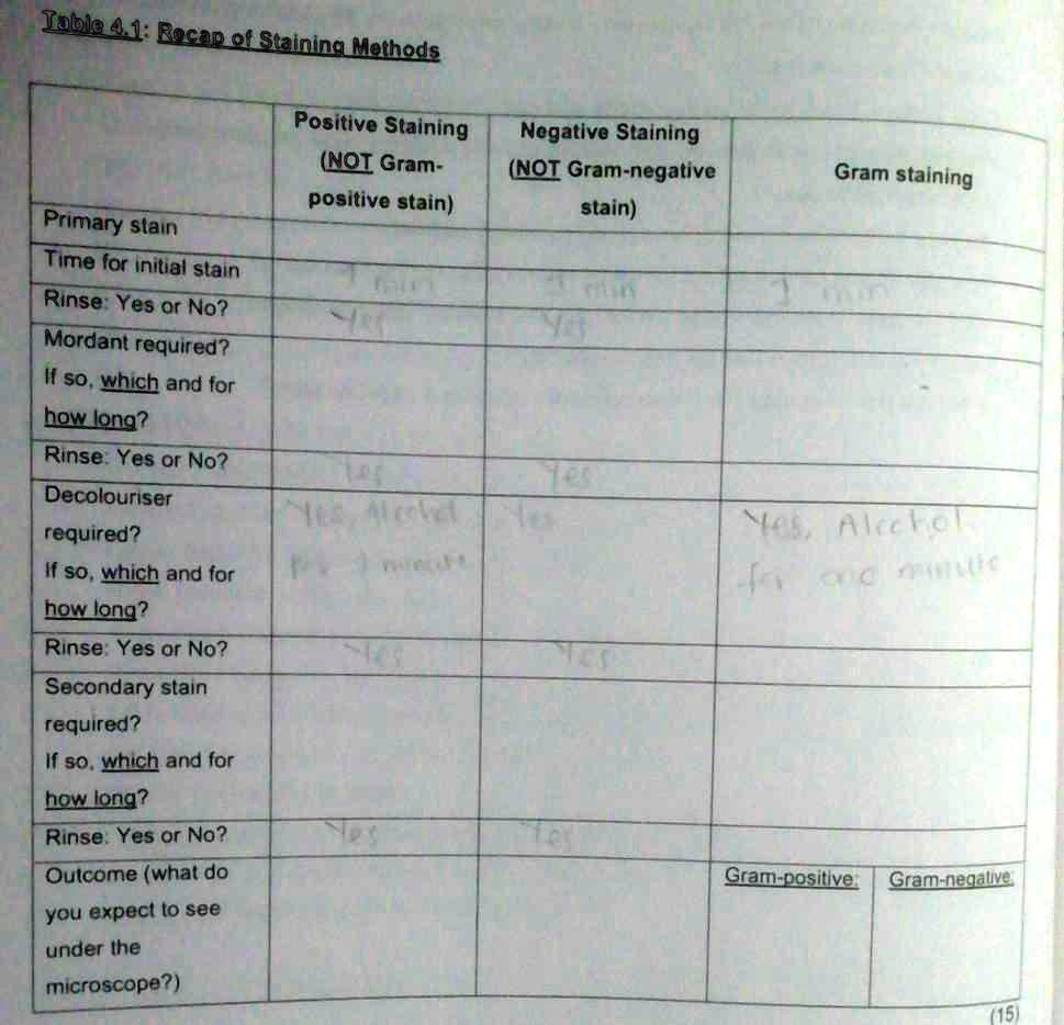 iobleal becaret staining metheds positive staining negative staining ...
