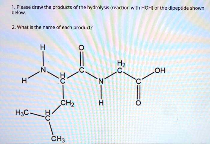 SOLVED: Please draw the products of the hydrolysis (reaction with HOH) of the dipeptide shown ...