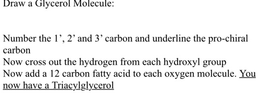 SOLVED: Draw a Glycerol Molecule: Number the 1', 2', and 3' carbon and ...