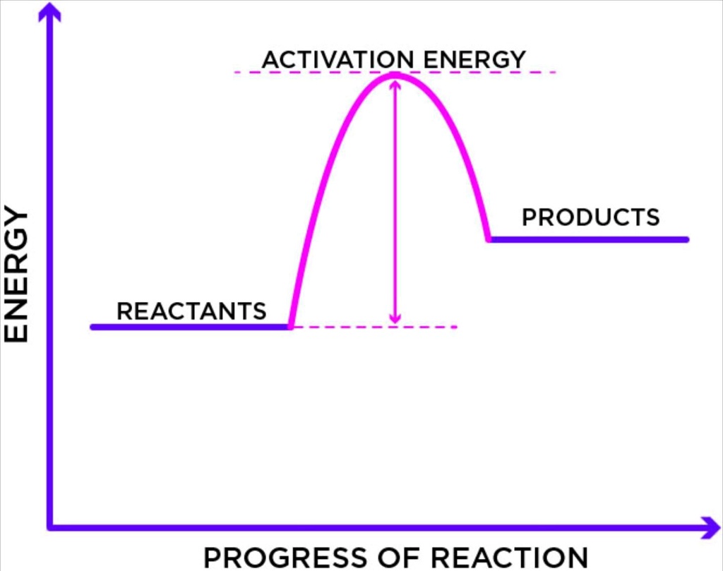 ACTIVATION ENERGY PRODUCTS REACTANTS ENERGY PROGRESS OF REACTION