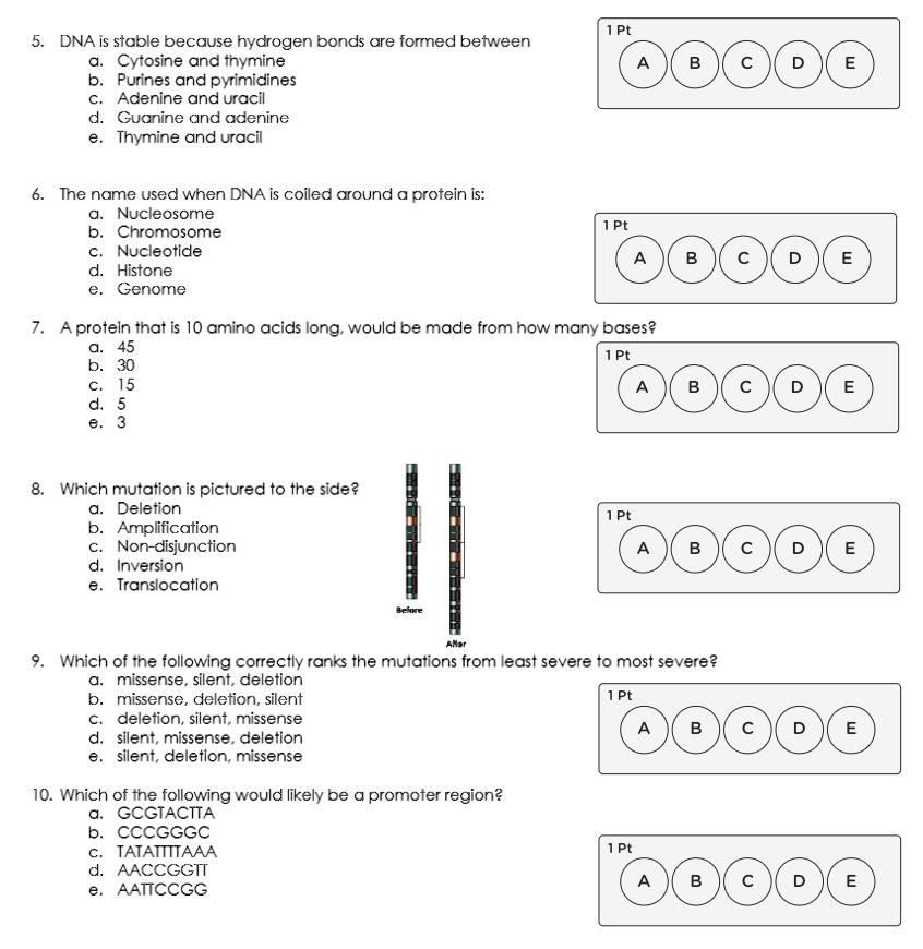 SOLVED: DNA is stable because hydrogen bonds are formed between ...