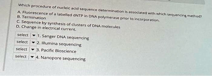 Solved Text Which Procedure Of Nucleic Acid Sequence Determination Is