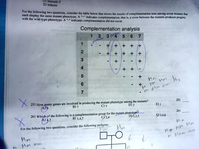 SOLVED:Meiosis II E) Mitosis For the following SOLVED:Meiosis II E) Mitosis For the following