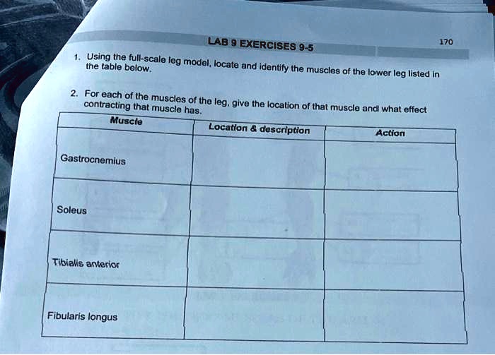 SOLVED: Texts: Can anyone help me? LAB 9 EXERCISES 9-5 170 1. Using the ... SOLVED: Texts: Can anyone help me? LAB 9 EXERCISES 9-5 170 1. Using the ...