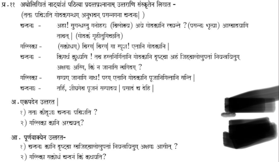 SOLVED Unseen Passage In Sanskrit solved-unseen-passage-in-sanskrit