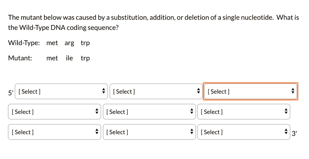 The mutant below was caused by a substitution, addition, or...