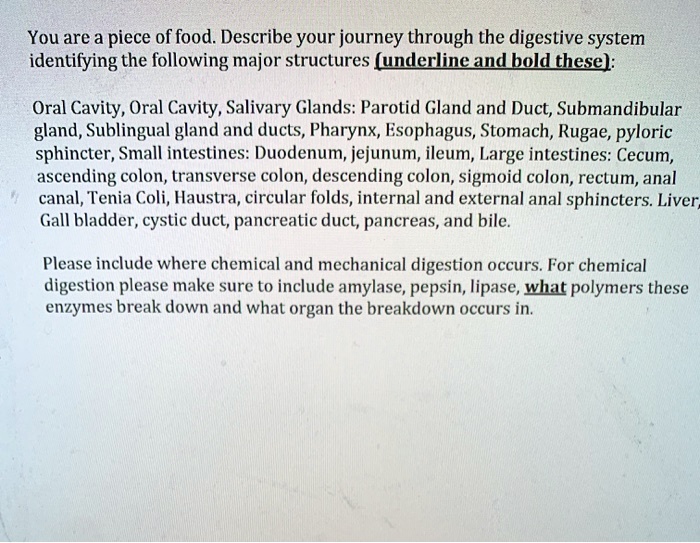 You are a piece of food. Describe your journey through the digestive ...