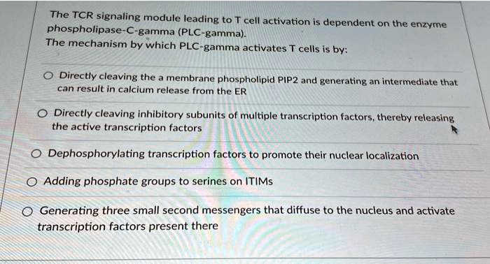 The TCR signaling module leading to T cell activation is dependent on ...