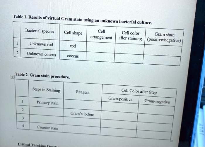 Table 1. Results of virtual Gram stain using an unknown bacterial culture. Bacterial species ...