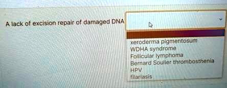 A lack of excision repair of damaged DNA xeroderma pigmentosum WDHA ...