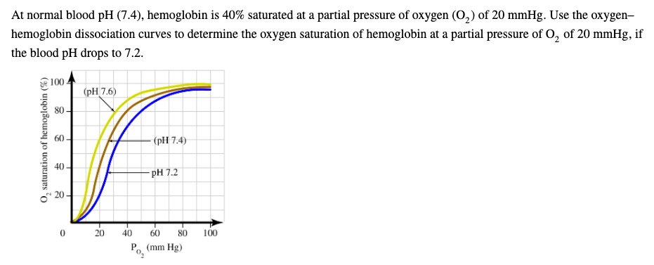 At normal blood pH (7.4), hemoglobin is 40% saturated at a partial ...