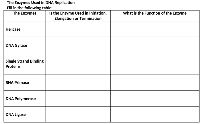 The Enzymes Used in DNA Replication Fill in the following table: The ...
