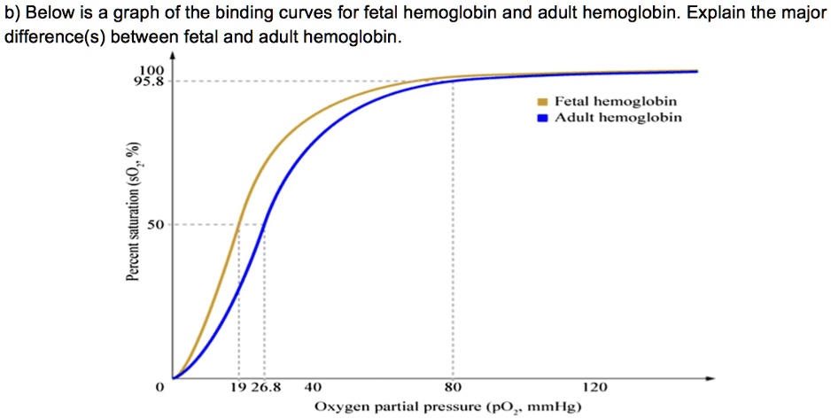 b) Below is a graph of the binding curves for fetal hemoglobin and adult hemoglobin. Explain the ...