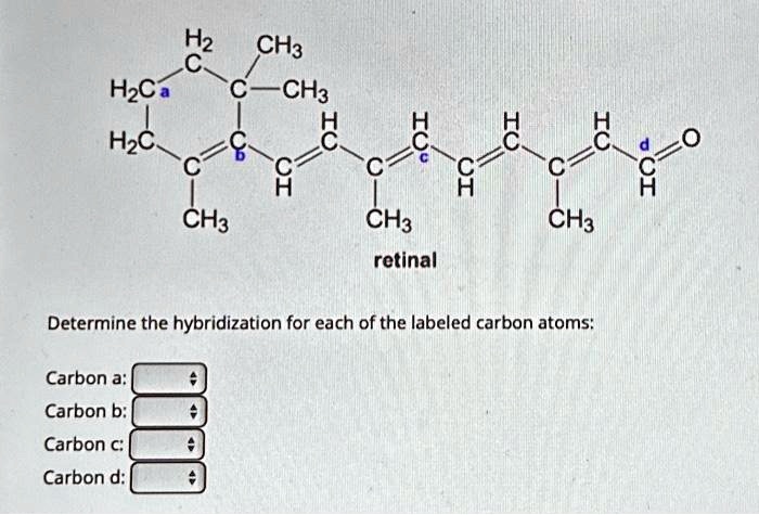 SOLVED: H₂ CH3 C. H₂Ca C-CH3 CH3 H₂C C Carbon a: Carbon b: Carbon c: Carbon d: CH HOU CH3 ...
