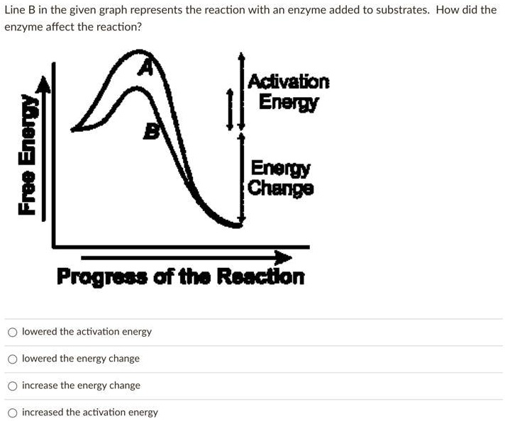 SOLVED: Line B in the given graph represents the reaction with an ... SOLVED: Line B in the given graph represents the reaction with an ...