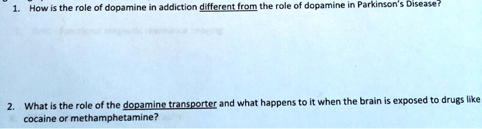 how is the role of dopamine in addiction different from the role of ...