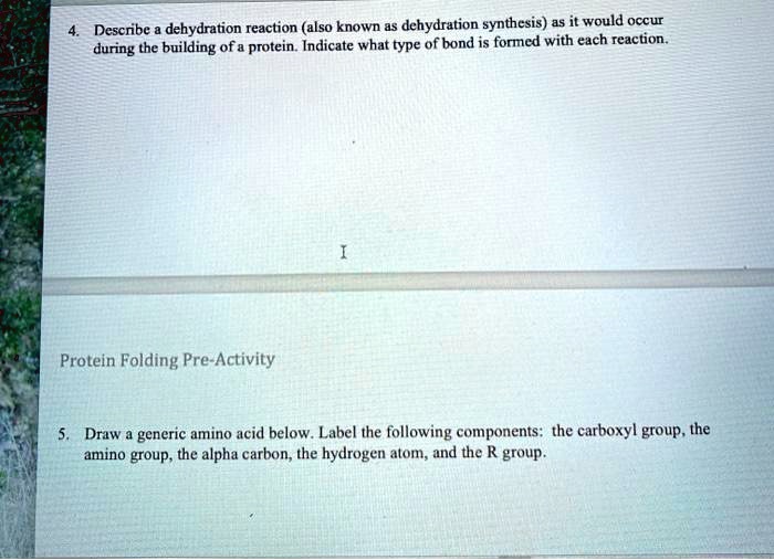 SOLVED: Describe dehydration reaction (also known as dehydration ...