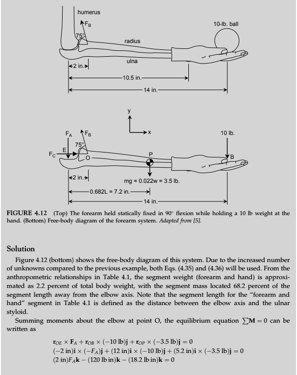 solve example problem 48 for forearm orientations angled y from the ...