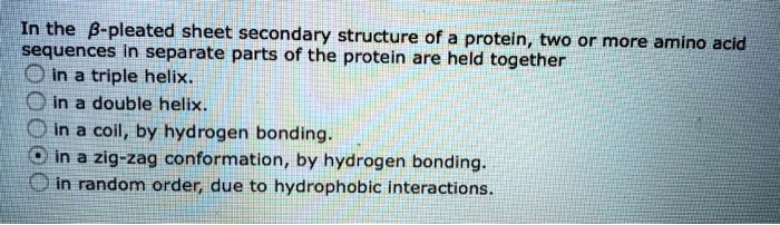 SOLVED: In the_B-pleated sheet secondary structure of a protein two or ...