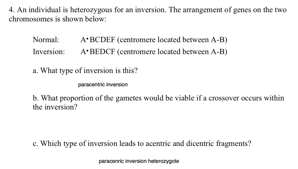 4 an individual is heterozygous for an inversion the arrangement of ...