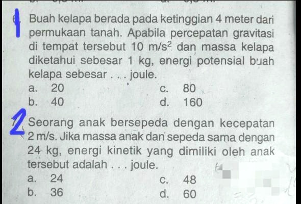 SOLVED: tolongin dong ayo lah kak Buah kelapa berada pada ketinggian 4 ... SOLVED: tolongin dong ayo lah kak Buah kelapa berada pada ketinggian 4 ...