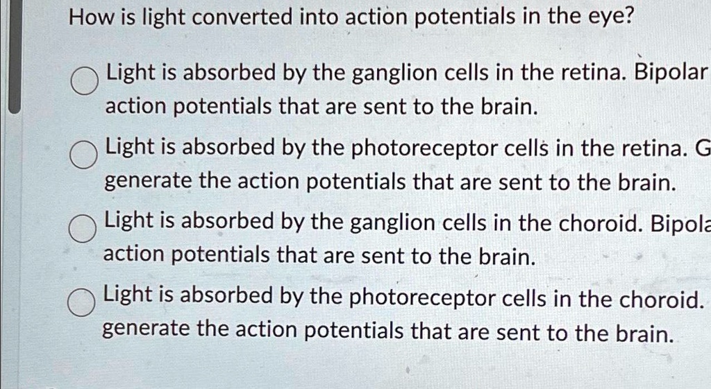How is light converted into action potentials in the eye? Light is ...