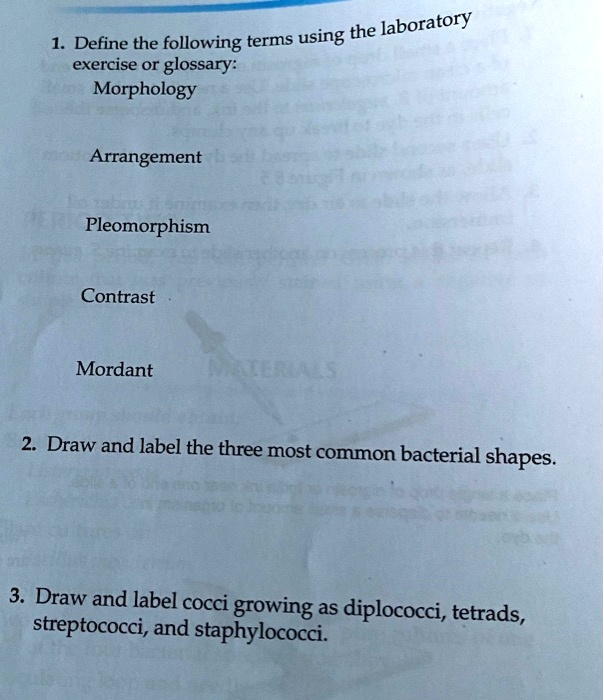 SOLVED: Define the following terms using the laboratory exercise or glossary: Morphology ...
