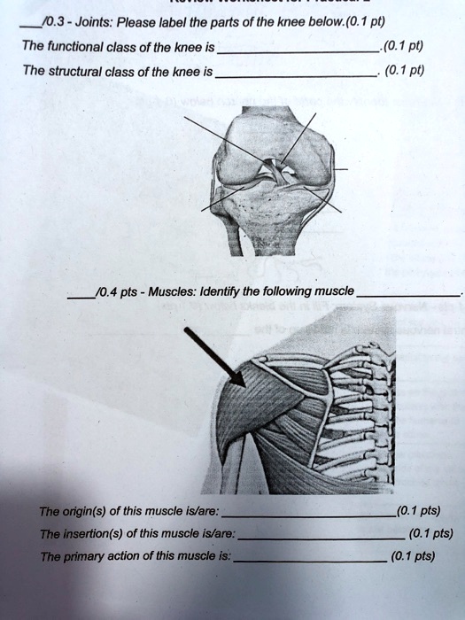 103 joints please label the parts of the knee below 01 pt the ...