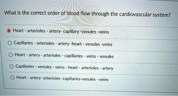 SOLVED: What is the correct order of blood flow through the ...