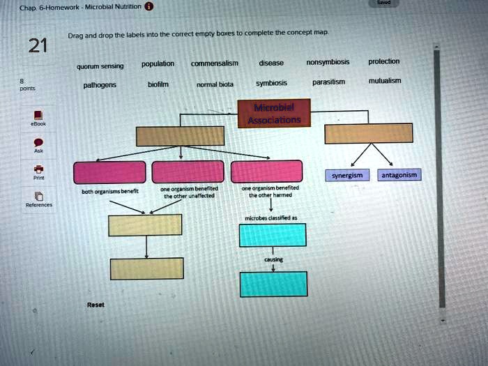 SOLVED: Can someone help me? Chap.6-Homework-Microbial Nutrition Drag and drop the labels into ...