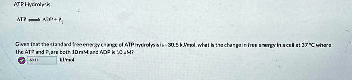 SOLVED: Texts: Can someone please show me how to properly do these ...