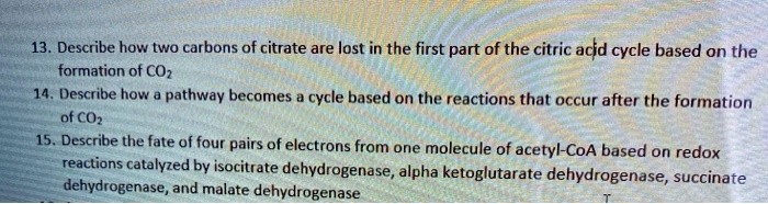 SOLVED: Describe how two carbons of citrate are lost in the first part ...