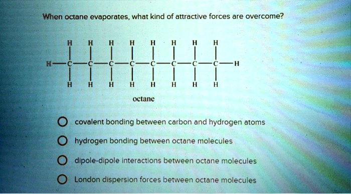 SOLVED: Wnen octane evaporates what kind of attractive forces are ...