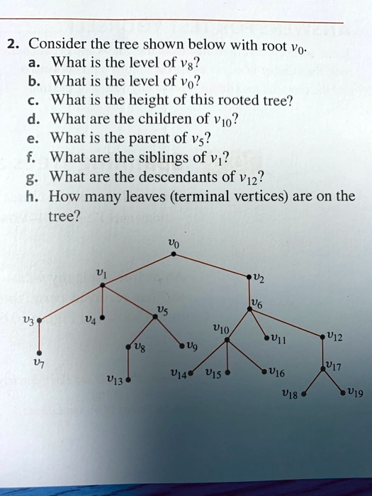 Consider the tree shown below with root Vo: What is the level of Vg? b. What is the level of Vo ...