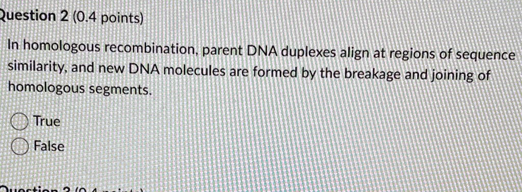 question 2 04 points in homologous recombination parent dna duplexes ...
