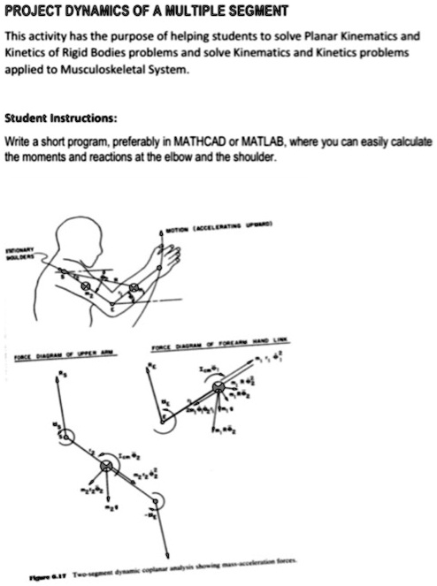 SOLVED: PROJECT DYNAMICS OF A MULTIPLE SEGMENT This activity has the purpose of helping students ...