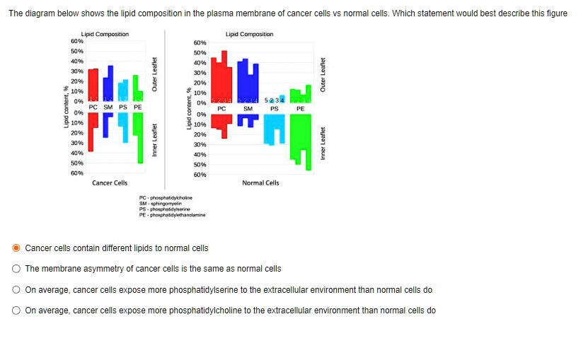 SOLVED: The diagram below shows the lipid composition in the plasma ...