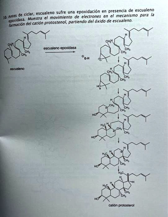 SOLVED:escualeno sufre una epoxidacion en presencia de escualena Anles ...