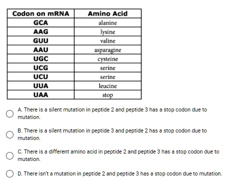 SOLVED: Codon on mRNA GCA AAG GUU AAU UGC ucG UCU UUA UAA Amino Acid ...