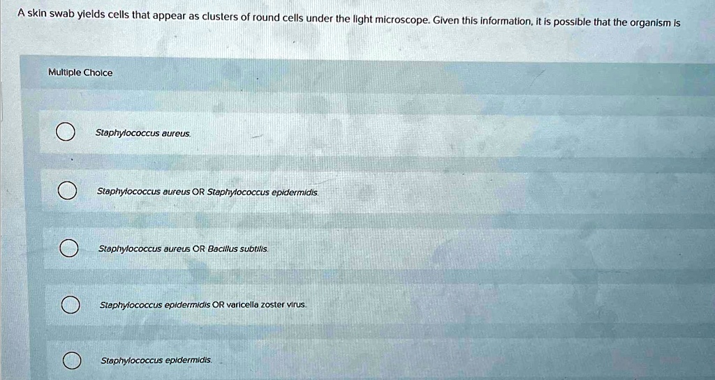 SOLVED: A skin swab yields cells that appear as clusters of round cells under the light ...