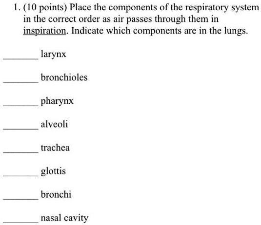 1. (10 points) Place the components of the respiratory system in the ...