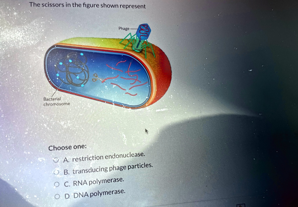 the scissors in the figure shown represent choose one a restriction ...