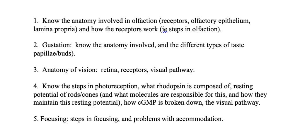 1. Know the anatomy involved in olfaction (receptors, olfactory ...